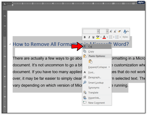 How To Remove All Formatting In Microsoft Word